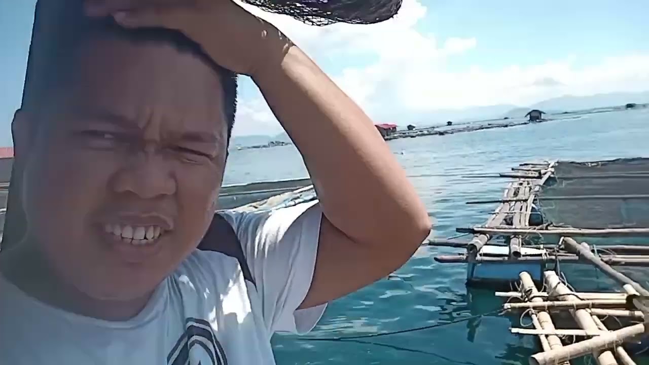Biao Fish Cage Digos City Davao Del Sur #Milkfish#Mindanao - YouTube