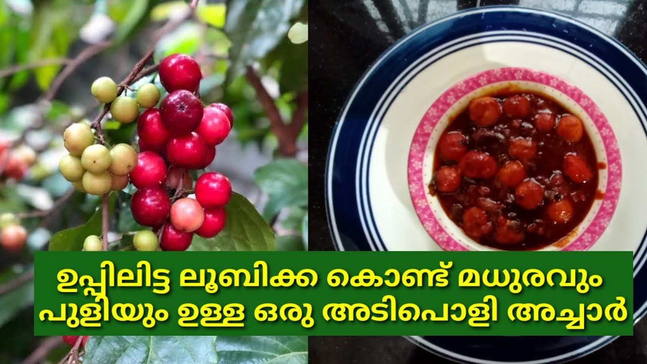 Sweet Lubicca pickle | Sweet Lovelolikka pickle | Sweet Lololikka ...