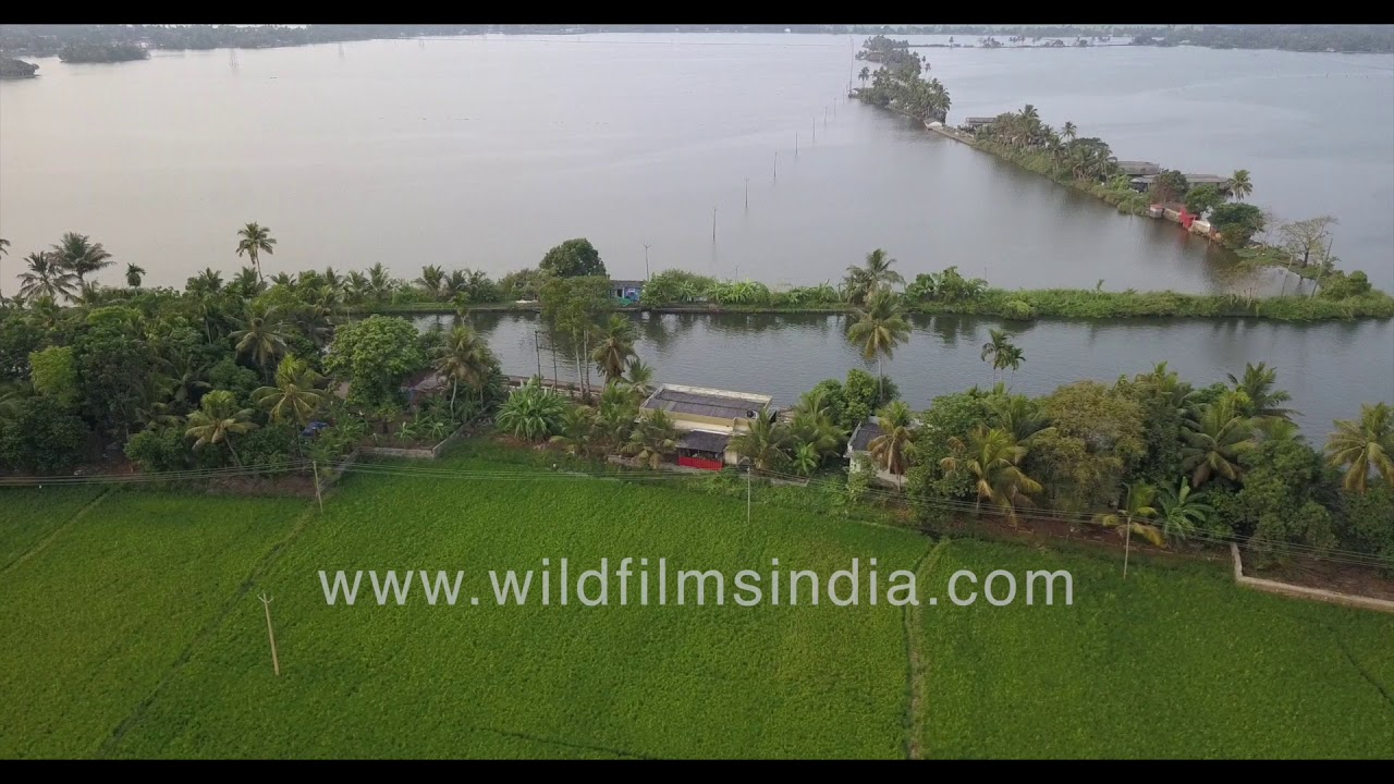 Kainakary Village in Kuttanad in aerial view -Charming sunrise, lakes ...