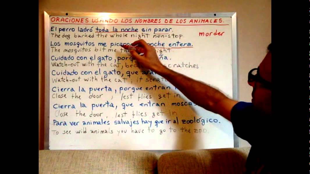 Learn Spanish Free - Spanish Lessons 102 - 115 - YouTube