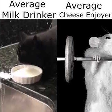 Average Cheese Enjoyer - YouTube