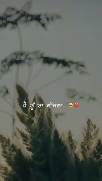 New Punjabi Status | Punjabi Love Status | New Punjabi Song 2025 | love Status Punjabi # ...