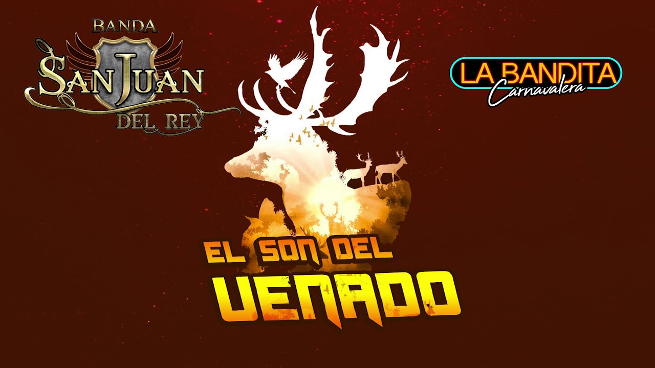 SON DEL VENADO | BANDA SAN JUAN DEL REY - YouTube