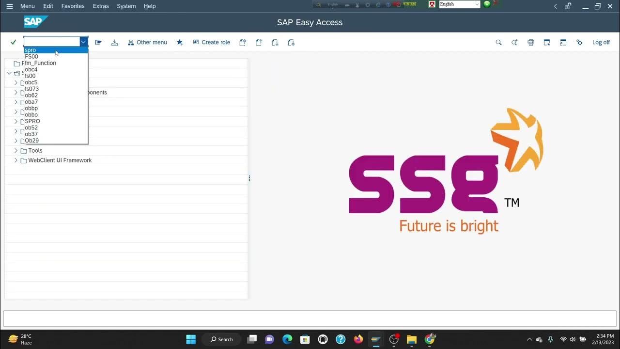 Part :03 Functional Area , Field Status Variant & Assign Field Status Variant to Company - YouTube