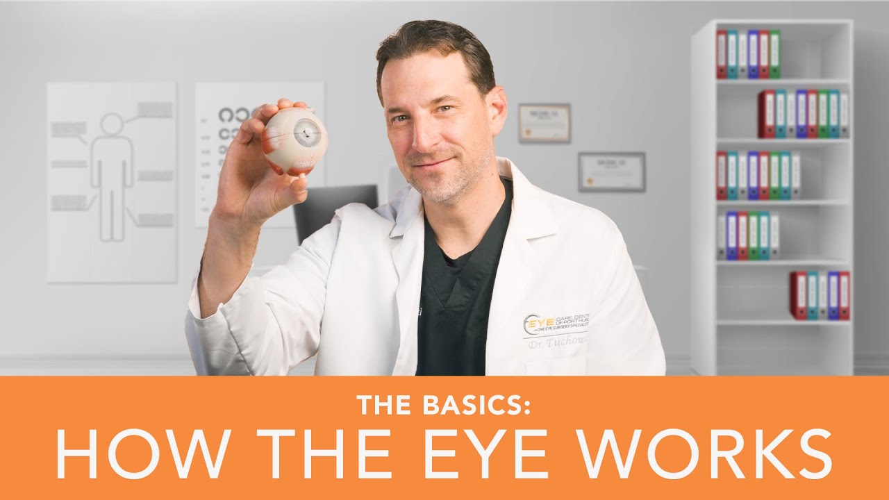 The Basics: How The Eye Works - YouTube