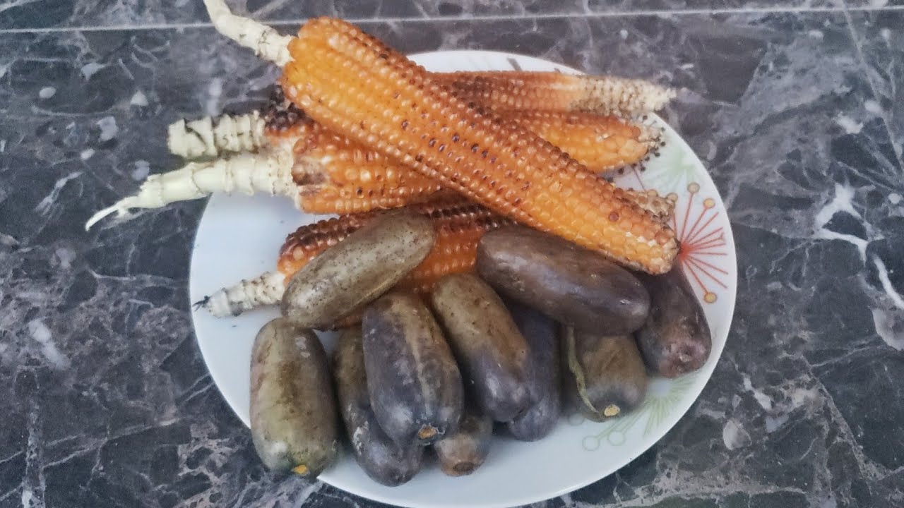 HOW TO MAKE HOMEMADE ROASTED CORN - YouTube