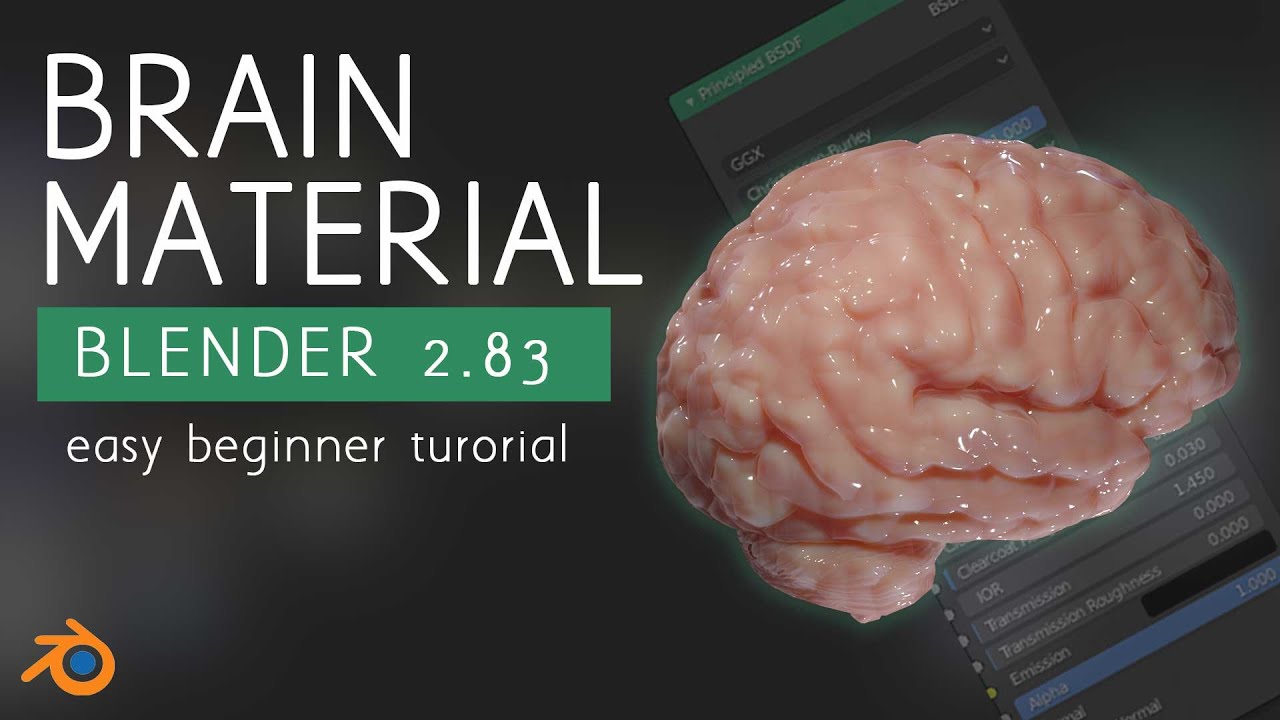 Brain Material Blender 2.8 - Easy Beginner Tutorial [URDU | हिन्दी] - YouTube