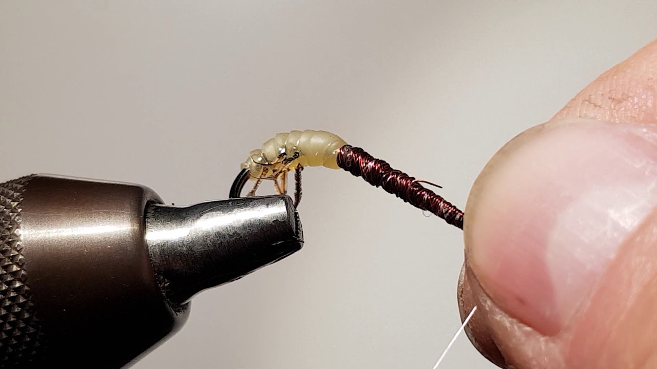 Cased Caddis. - YouTube