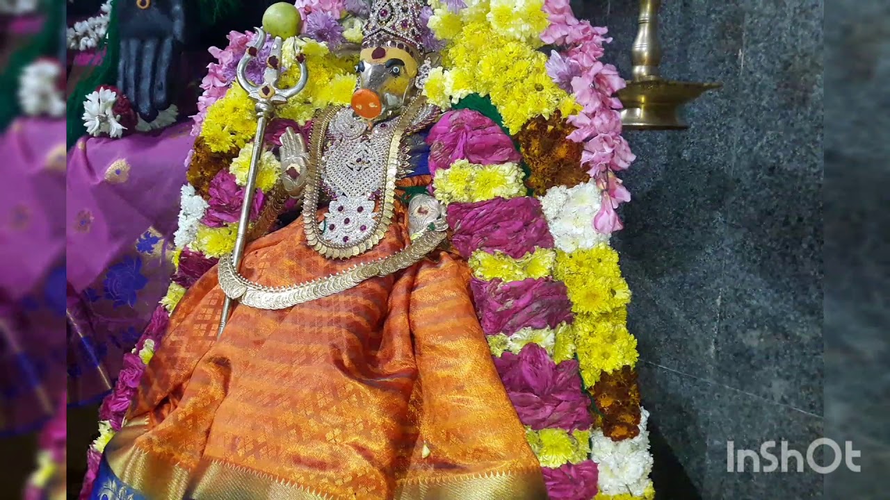 Villupuram Sri Ashta varahi temple அமாவாசை பூஜையில் மகா வராஹி - YouTube