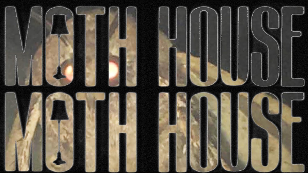 MOTH COOKING SIMULATOR (IN MOTH HELL) | MOTH HOUSE - YouTube