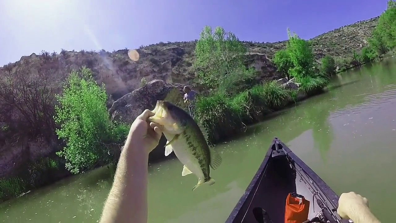 Bass Fishing-Verde River Dropshot / Micro Setup!! - YouTube