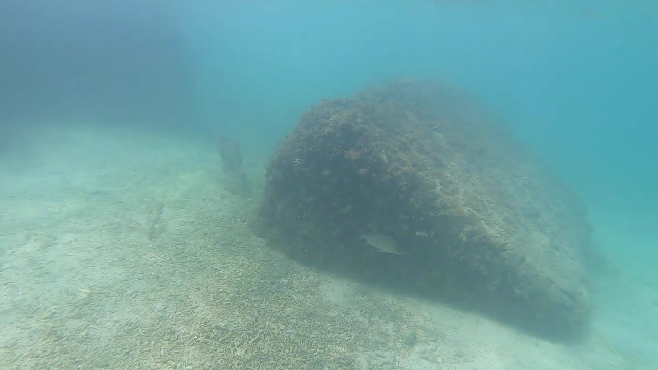 Fort Jefferson National Park (Dry Tortugas) Snorkeling- Outer Rim - YouTube