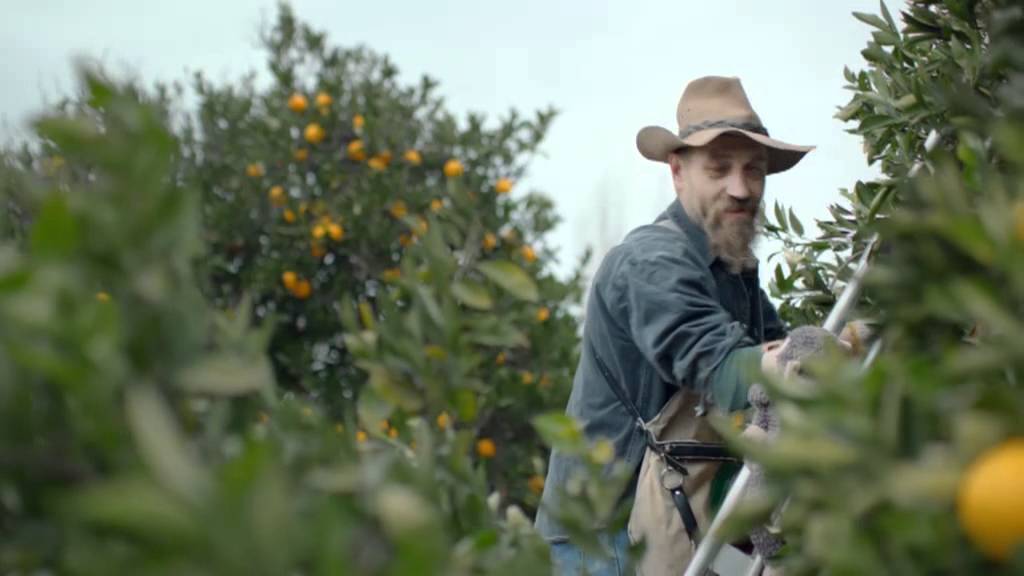 Meet our Woolworths Picker, Matt Bannister - YouTube