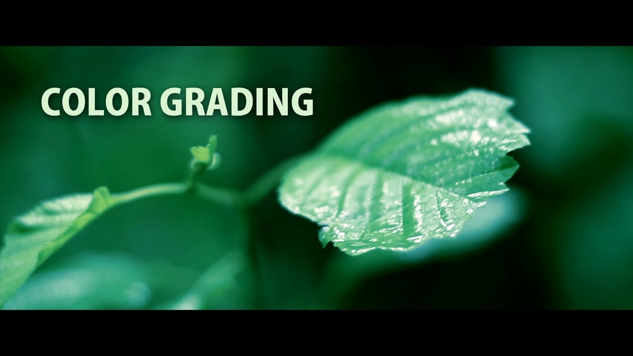 How to color grade DSLR footage! (Editing Tutorial) - YouTube