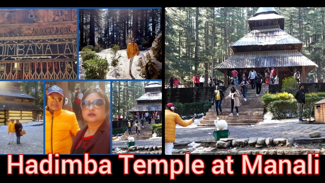 Hadimba Temple Manali| rare view of Hadimba devi in mandir inside video ...