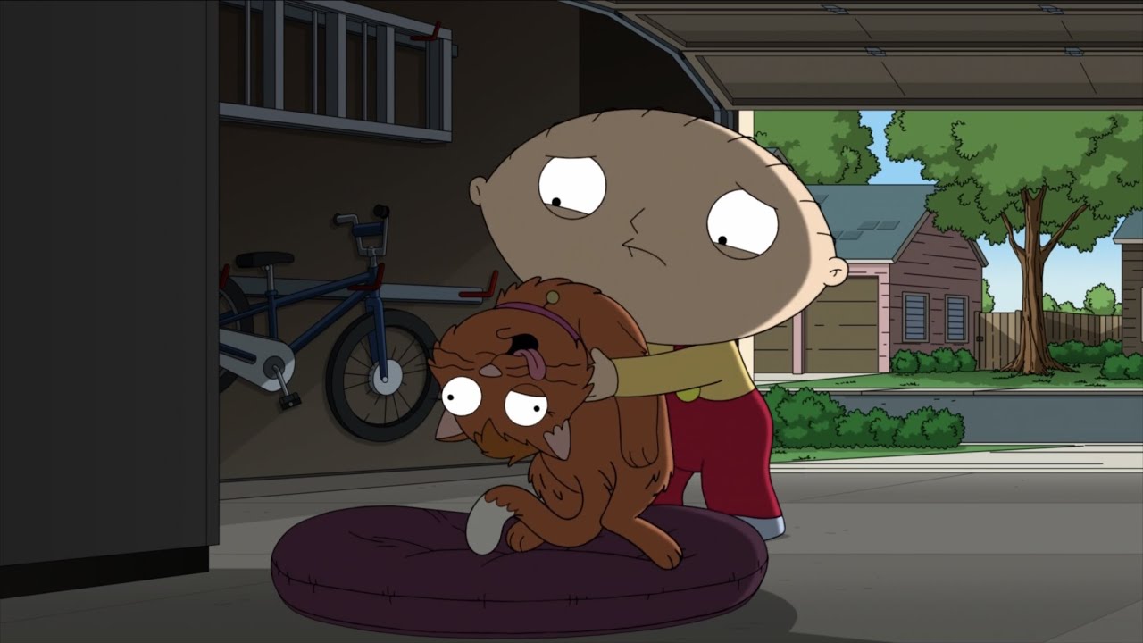 Stewie Griffin: Cat Murderer - YouTube
