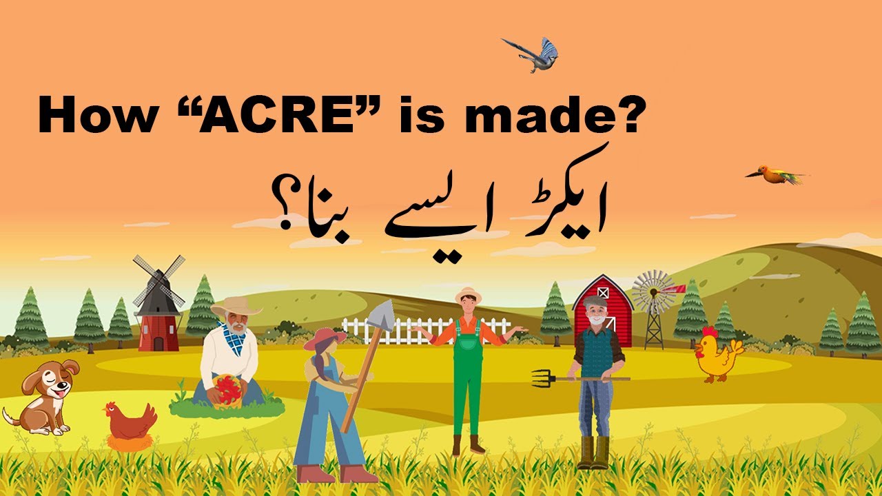 What is the history of the acre? Who created an acre? When was acre ...