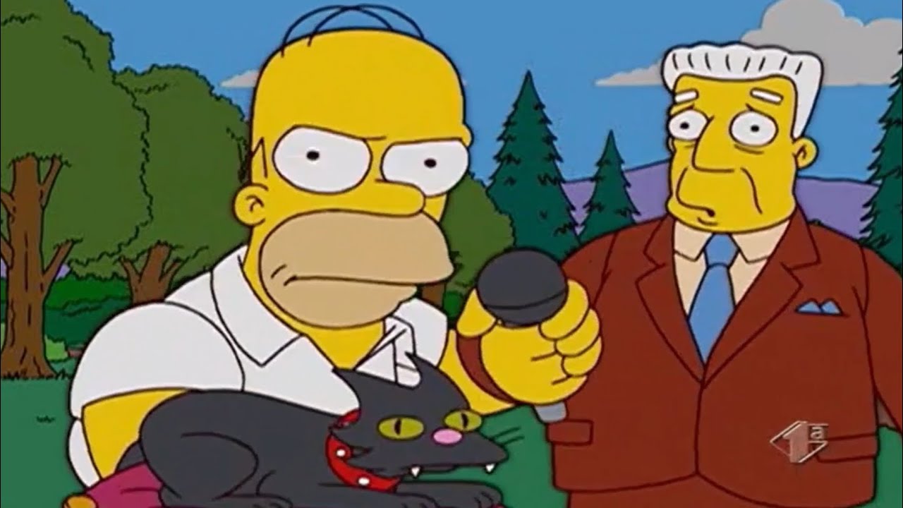 Meme Di Barney Ubriaco NUOVO I Simpson ITA Il Meglio Dei Simpson