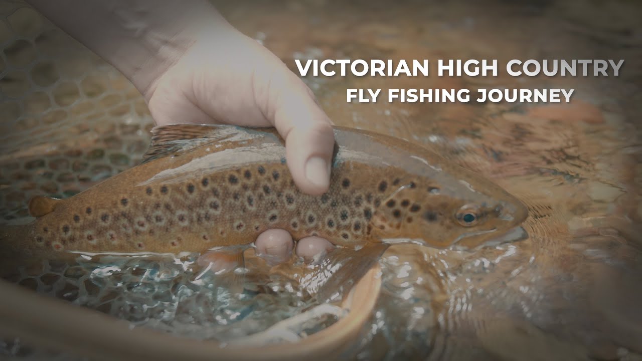 Victorian High Country Fly Fishing Journey - YouTube