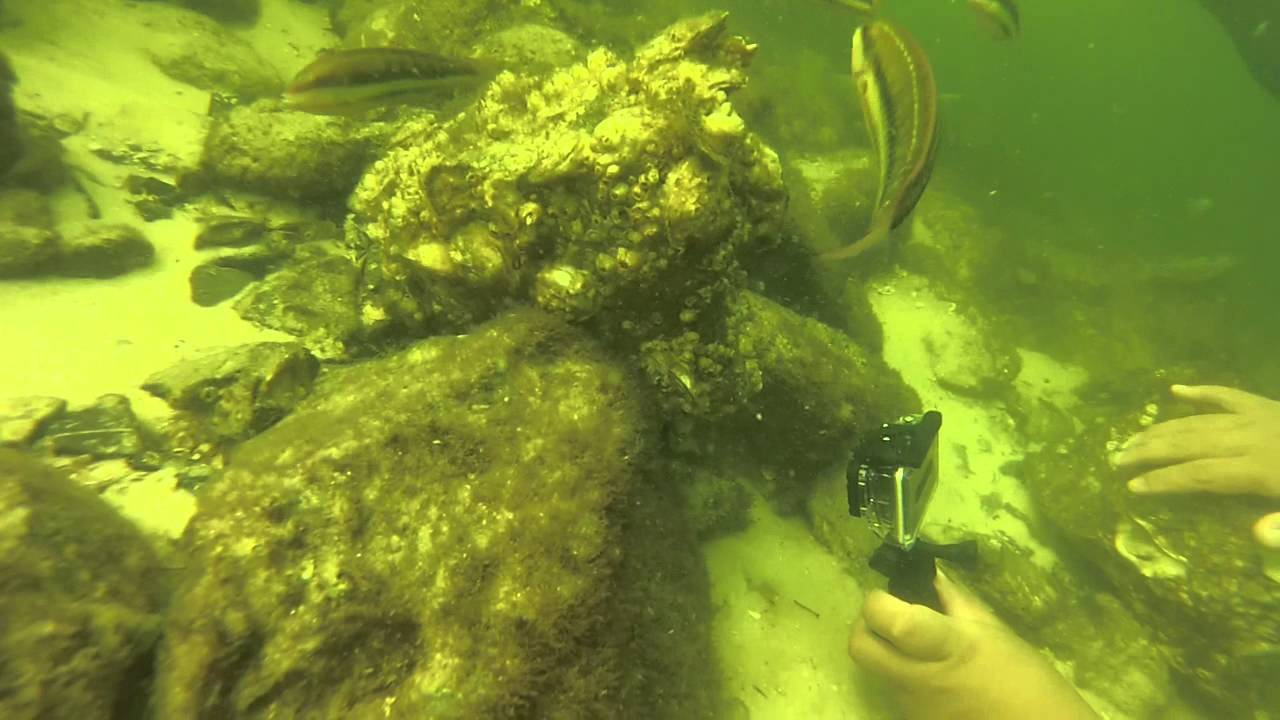 Snuba diving in Destin Florida - YouTube
