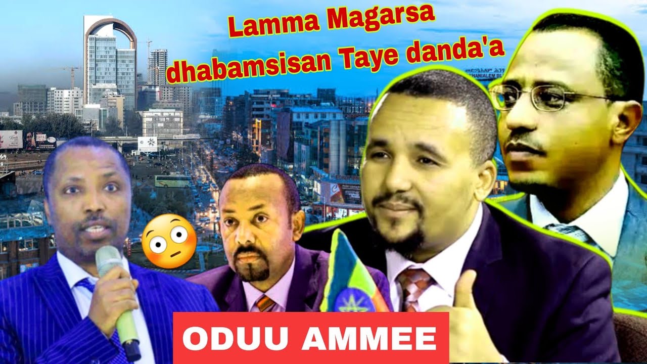 Lamma Magarsa dhabamsisan Taye danda'a😳Finxaleyyin 100 hidhamu🤔#AGM # ...