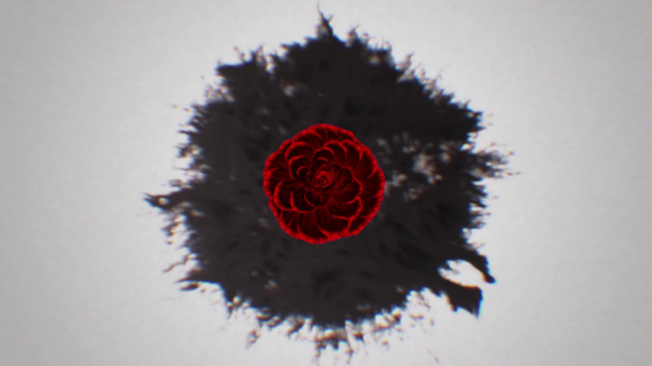 NBDY - Used To (Visualizer) - YouTube