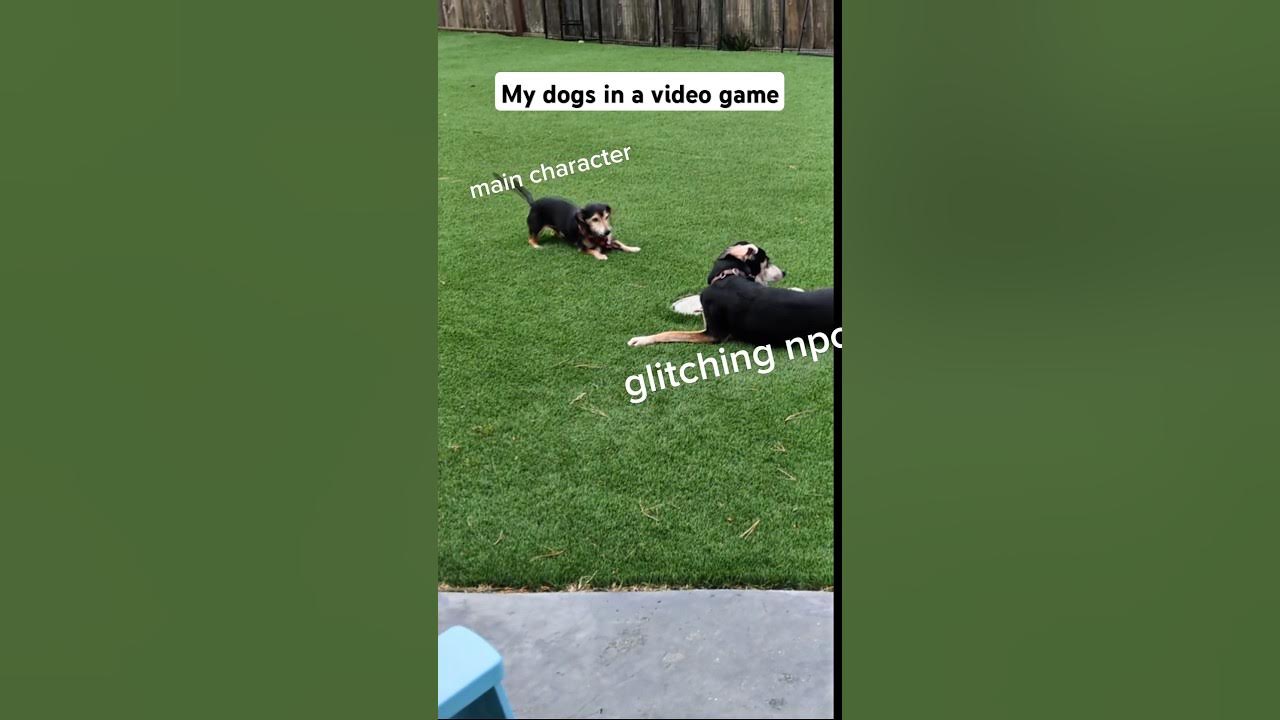 if my dogs were in a video game #dogs #pets #dachshund #fyp #doxie 😎🎮 ...