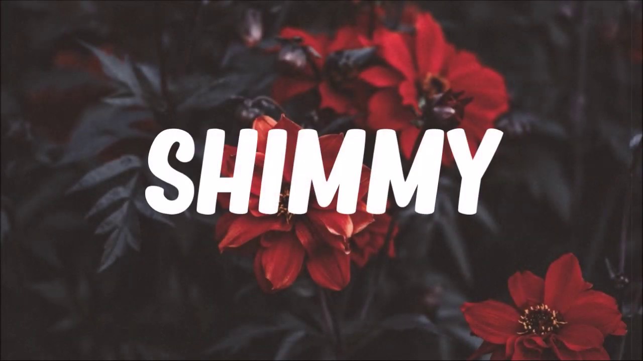 Lil Wayne, Doja Cat - Shimmy (Lyrics) HD - YouTube