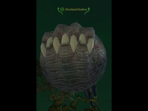 A Meeting of the Minds - Old School EQ2 Epics Series! - YouTube