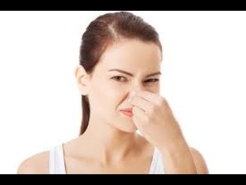 QUEENS fart, best sound effects for video editing, farting with attitude, polite fart, sexy fart.