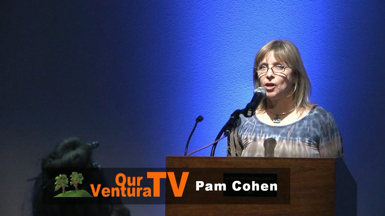 Pam Cohen Honored at the 2012 Mayor's Arts Awards Event - YouTube
