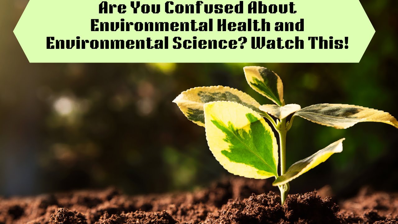 Environmental Health vs. Environmental Science: Key Differences ...