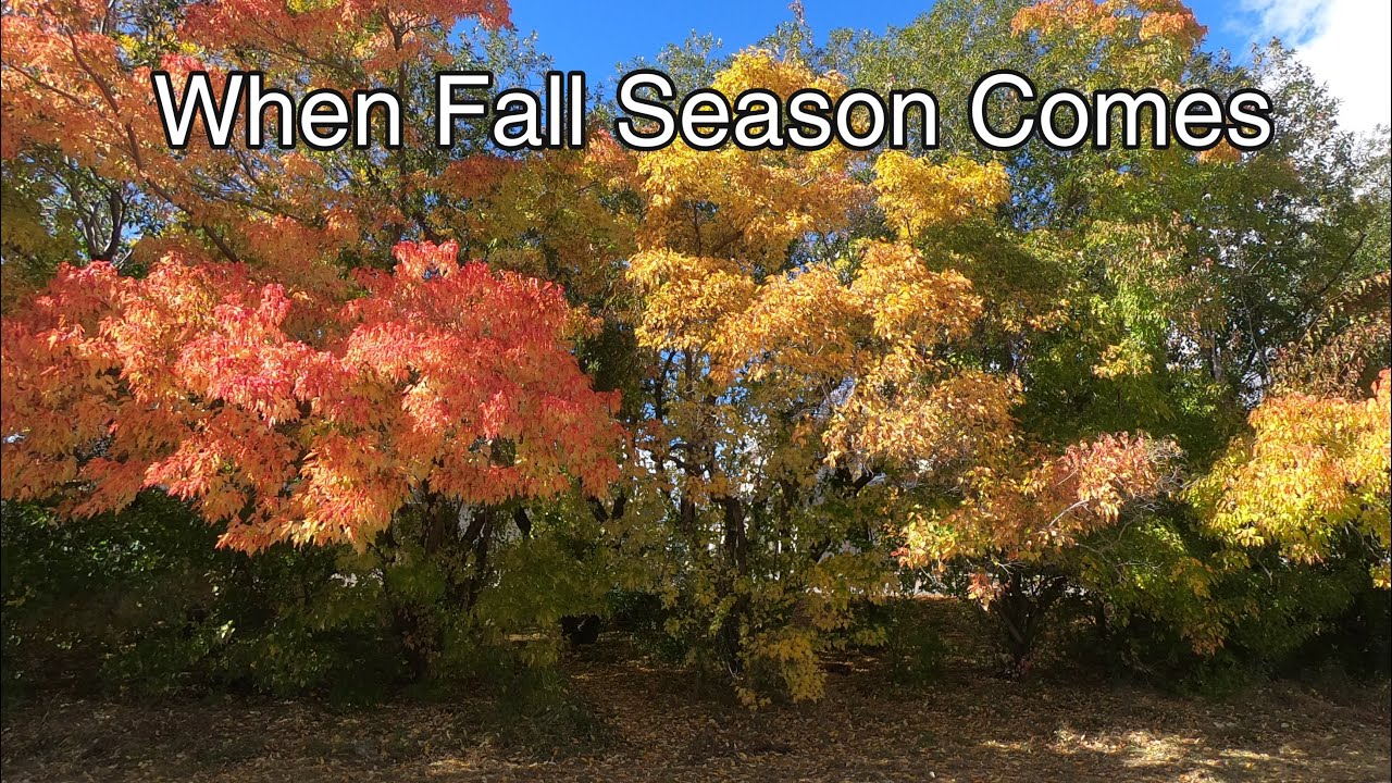 When Autumn Season Comes;Challenge 200 Steps/City of Edmonton Views ...