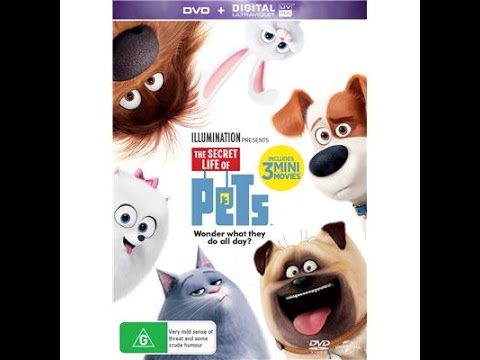 Opening To The Secret Life Of Pets 2016 DVD - YouTube