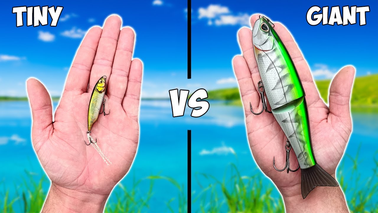 Tiny Lure vs. Giant Lure Fishing Challenge (10lb bass) - YouTube