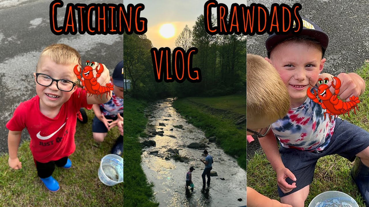 Catching Crawdads With The Boys In The Creek: Family Vlog: Hunting ...