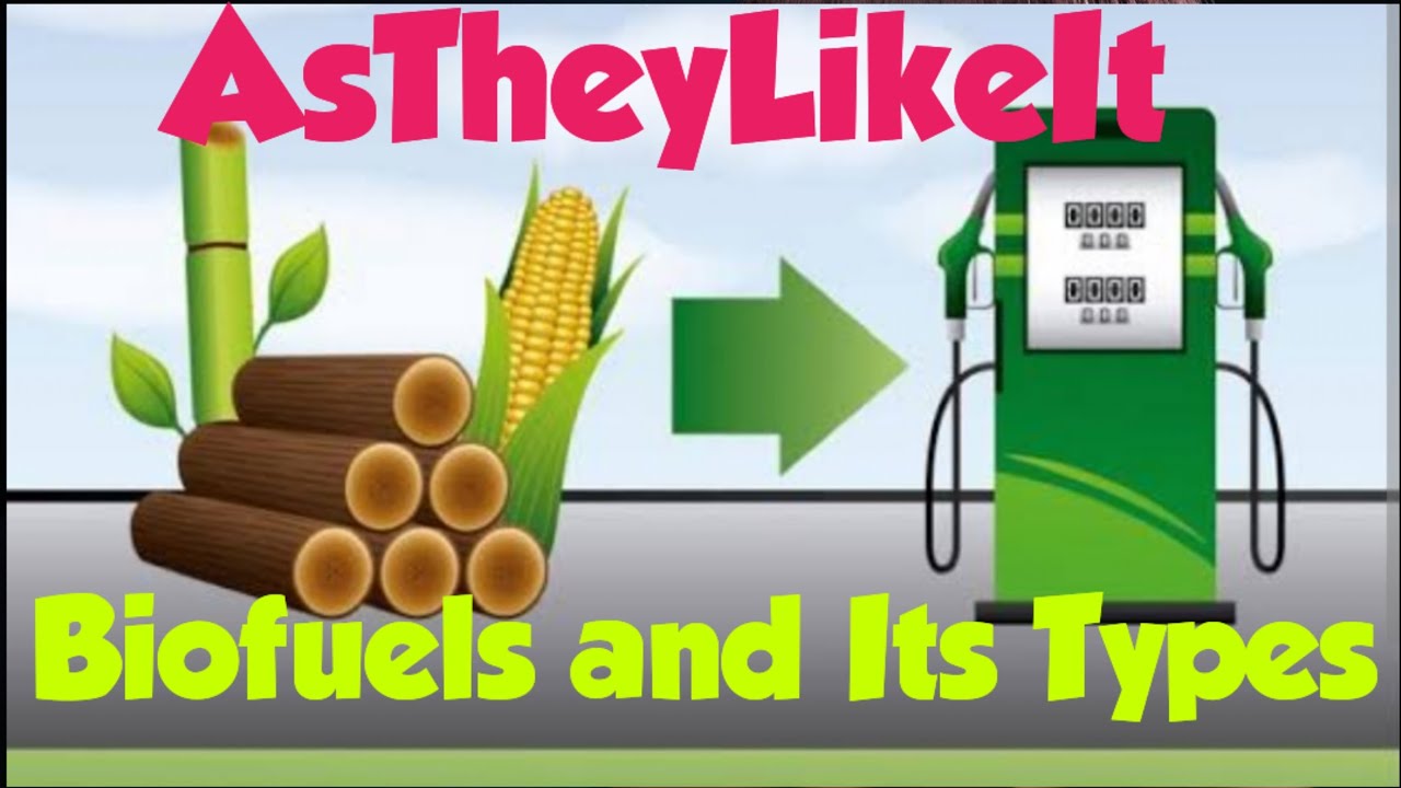 Biofuels and Its Types #india #drishtiias #adda247 #railwayexams #upsc ...