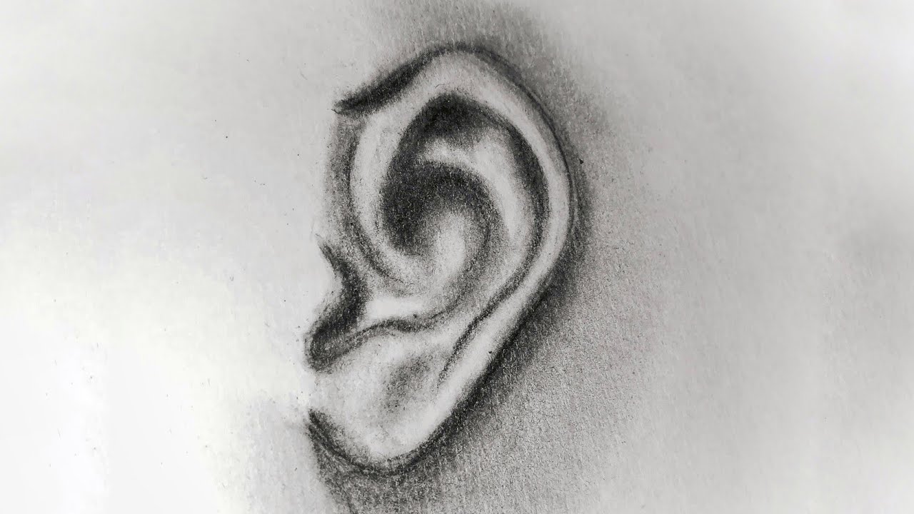 Ear Drawing tutorial / step by step ear drawing /How to draw Ear with ...