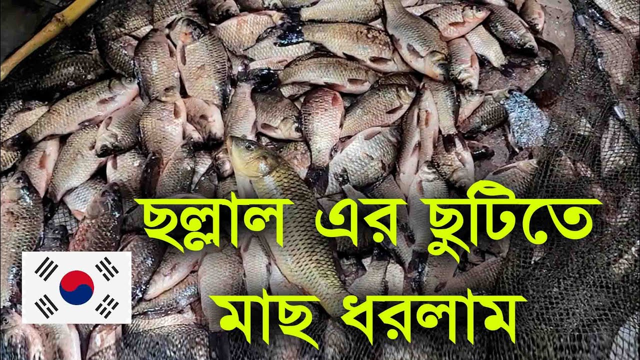 The fun of eating live fish in Korea || 한국에서 활어를 먹는 재미 || #Timeline 😋😋 ...