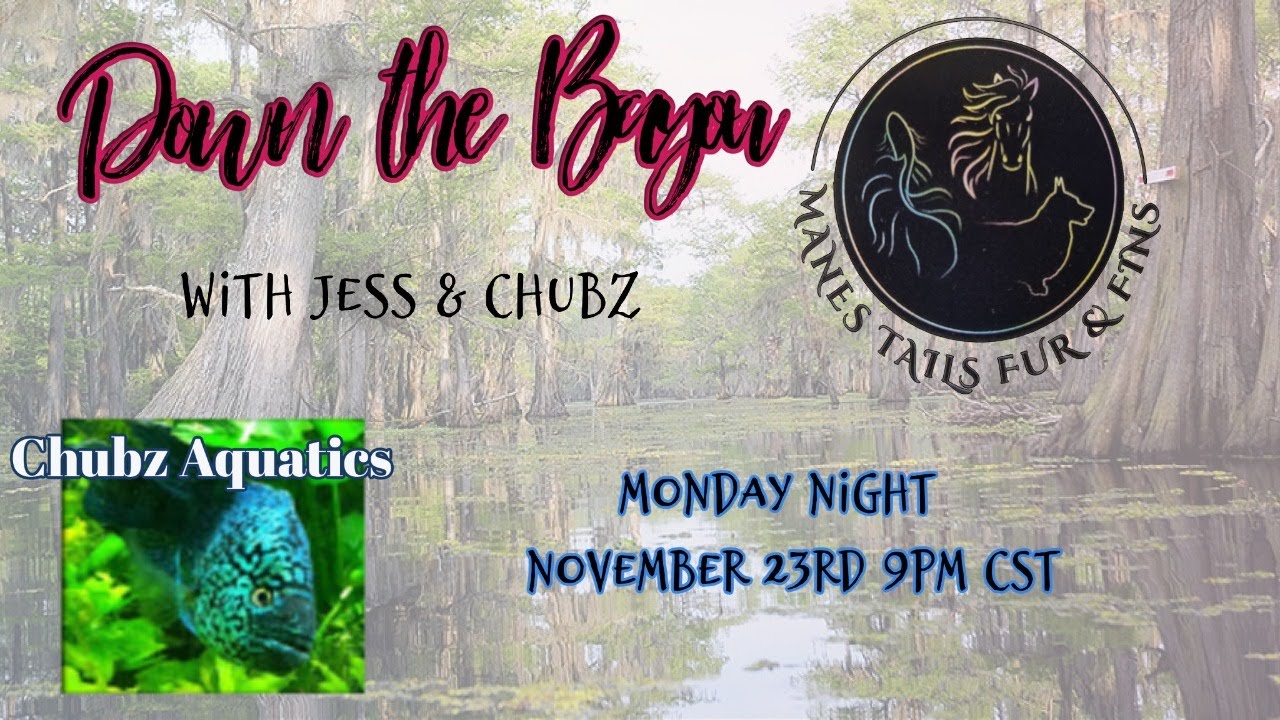 Down Da Bayou!! - YouTube