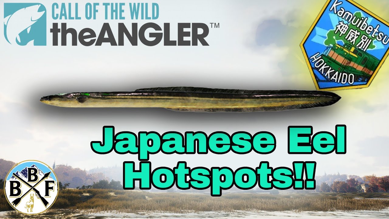 Beginner's Guide: Japanese Eel - Best Bait & Hook Size | Call of the ...