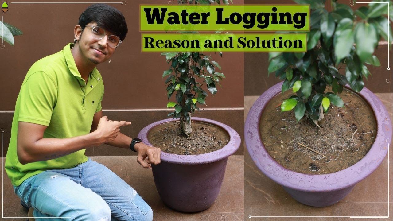 Water Logging problem || Reason and Solution || Soil Characteristics ...