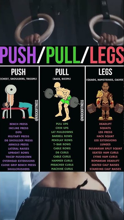 Push Pull Leg Exercises Shorts Youtube