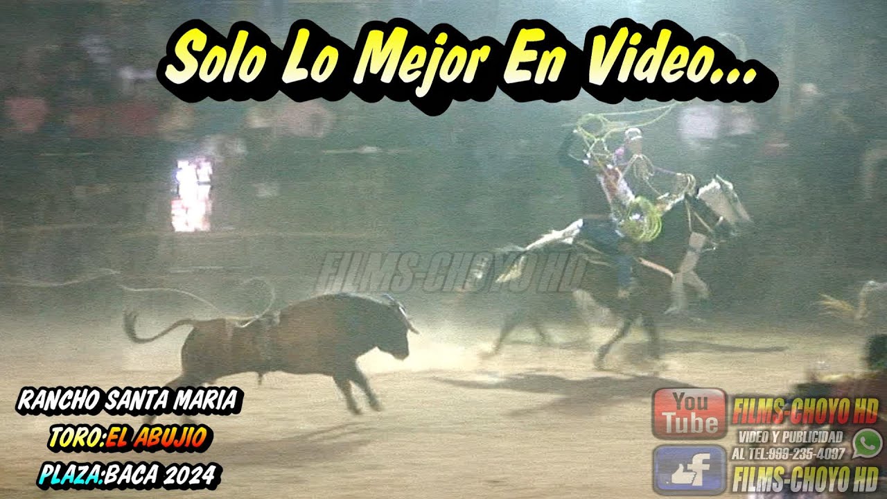 TORO EL ABUJIO EN LA FIESTA TRADICIONAL DE BACA.YUCATAN 2024 DANDO ...