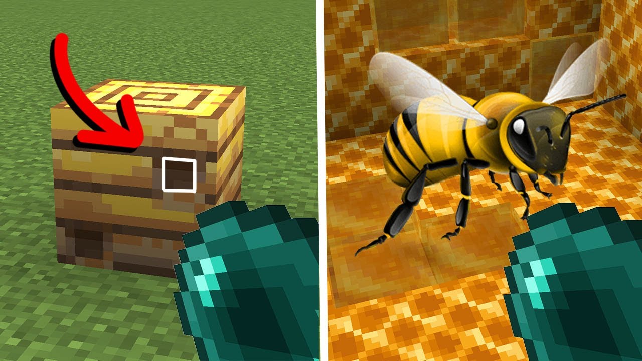 What inside Bee nest? What inside bee? - YouTube