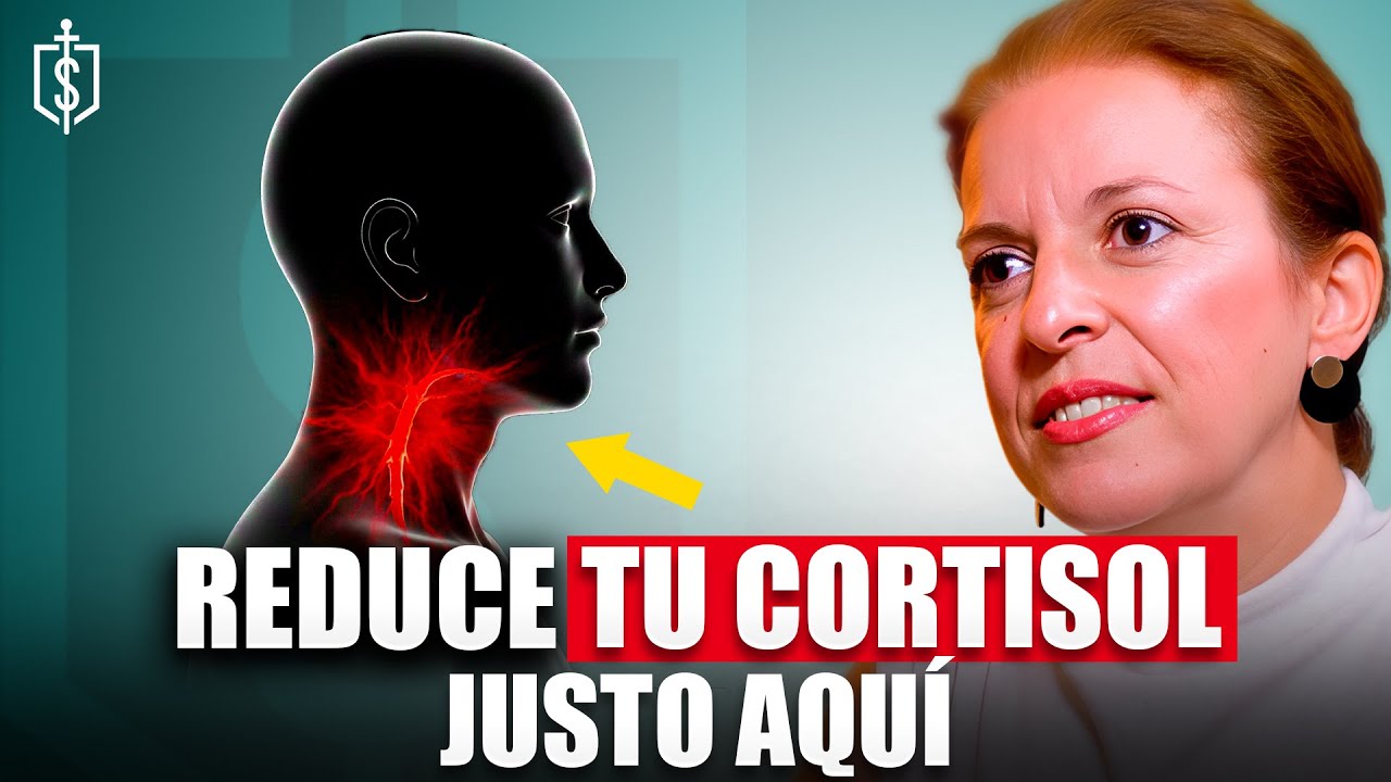 Controla Tu Estrés Y Mejora Tus Ingresos - YouTube