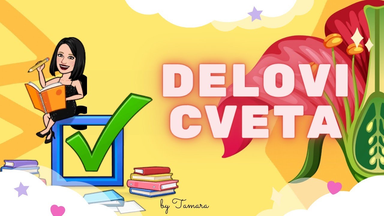 🌺Delovi cveta🌺 - YouTube