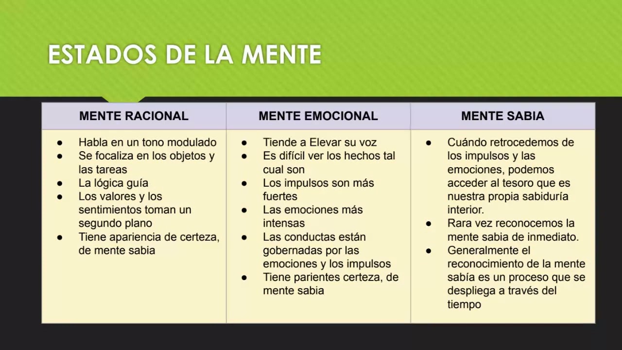 Mente sabia y mindfulnes - YouTube