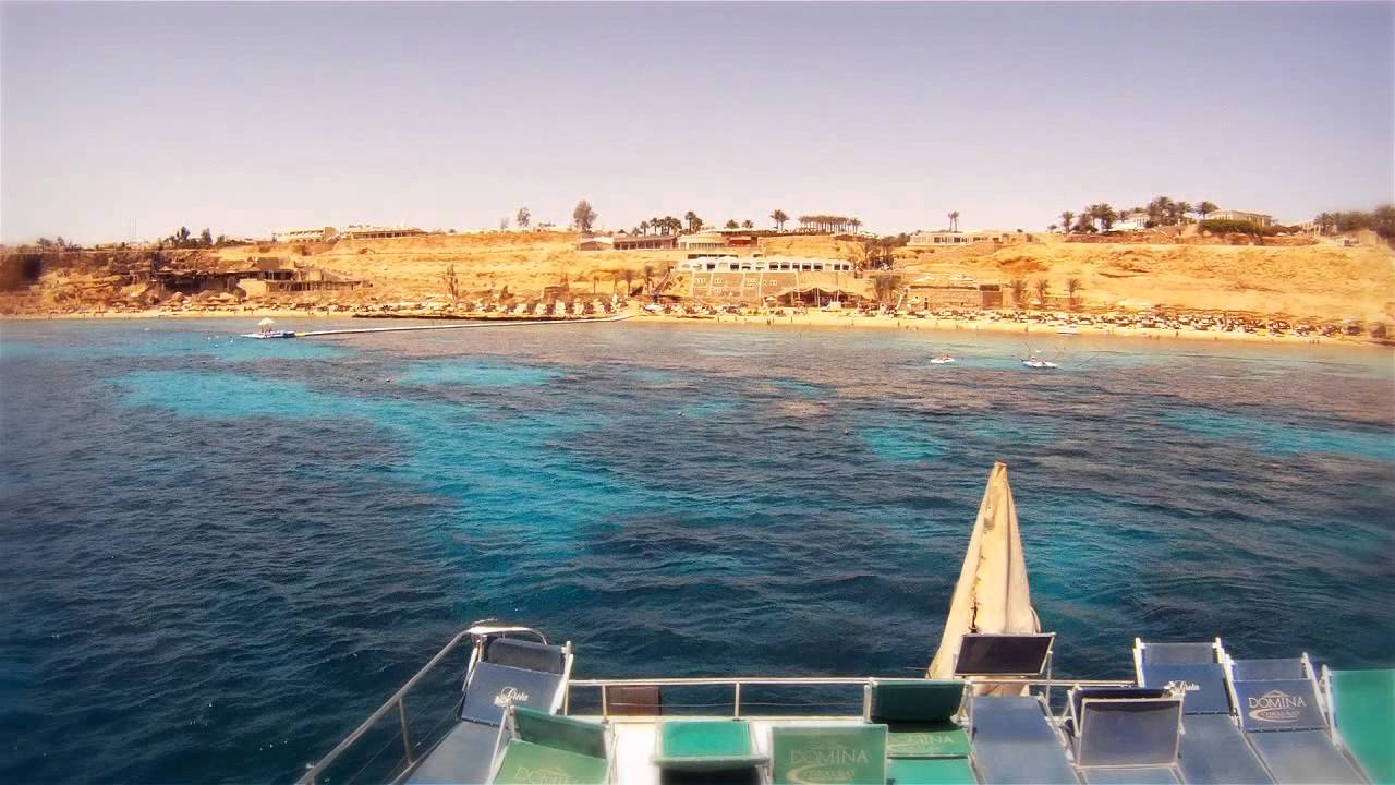 Dive Safari Red Sea - YouTube