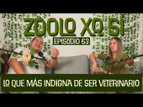 Lo que MÁS me INDIGNA de ser VETERINARIO | Episodio #63 | Zoolo XQ Sí